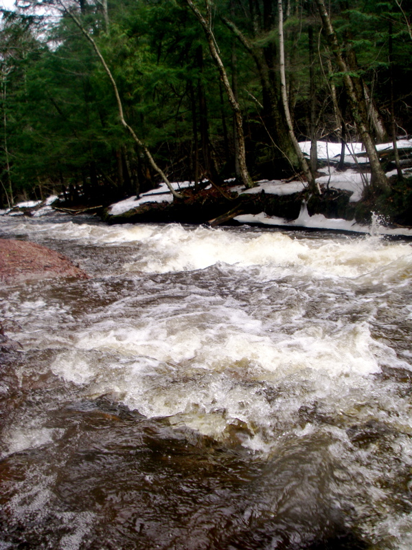 Upper Michigan Fishing Report from Rivers North Guide Service