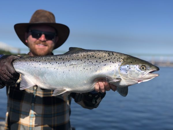 Upper Michigan Fishing Report from Rivers North Guide Service