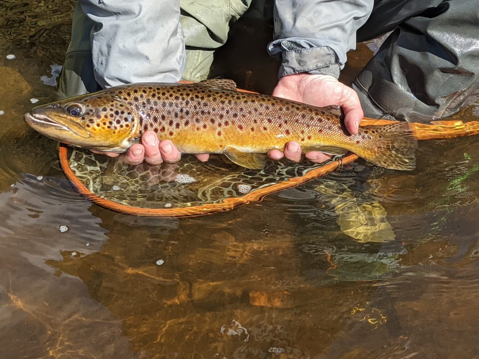 Upper Michigan Fishing Report from Rivers North Guide Service