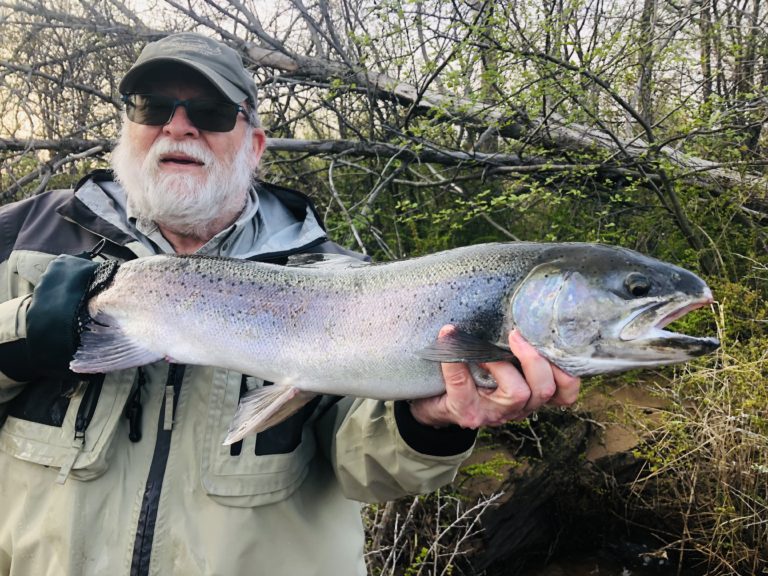 Upper Michigan Fishing Report from Rivers North Guide Service