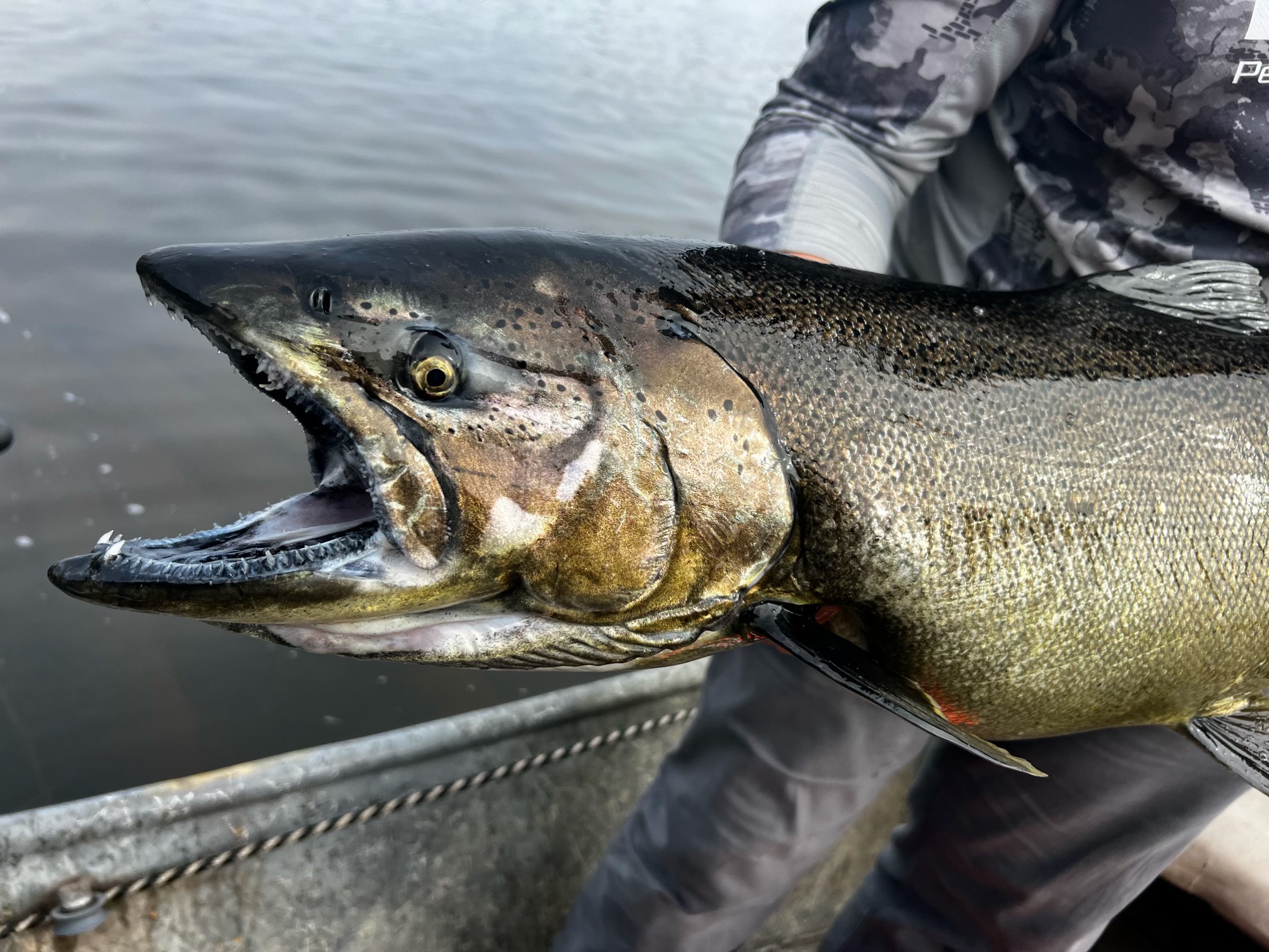 Upper Michigan Fishing Report from Rivers North Guide Service